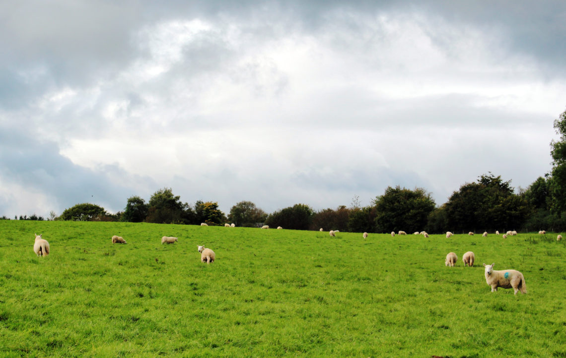 Our Spectacular Day Trip to Brecon Beacons from Cardiff | A Detailed ...