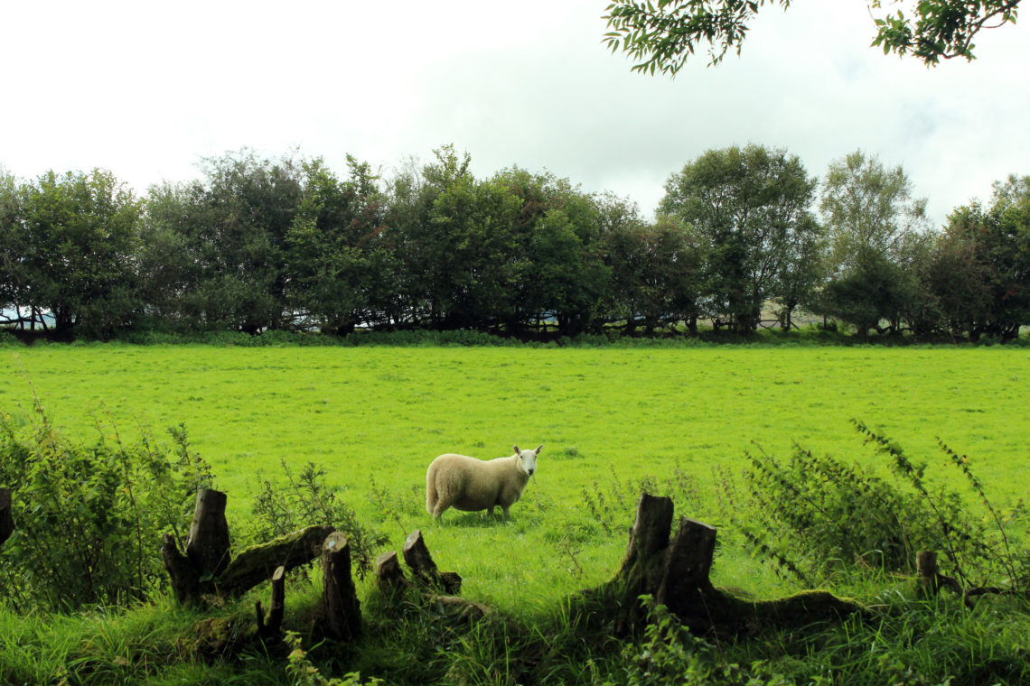 Our Spectacular Day Trip to Brecon Beacons from Cardiff | A Detailed ...
