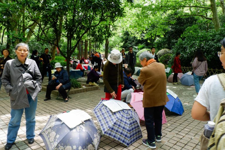 Explore Local Life in Shanghai | 6 Things To Do - Fiona Travels from Asia